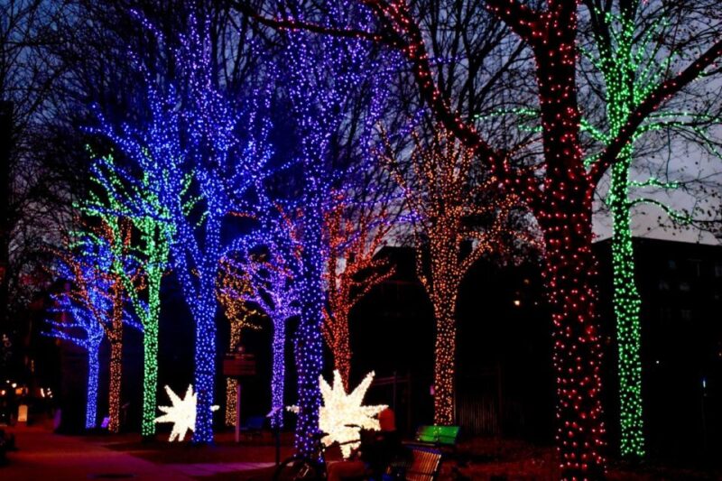 Atlanta: Christmas Walking Tour - Introduction