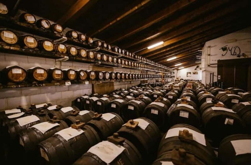 Authentic Balsamic Vinegar Tour & Tasting in Modena - What You Can Expect During the Tour