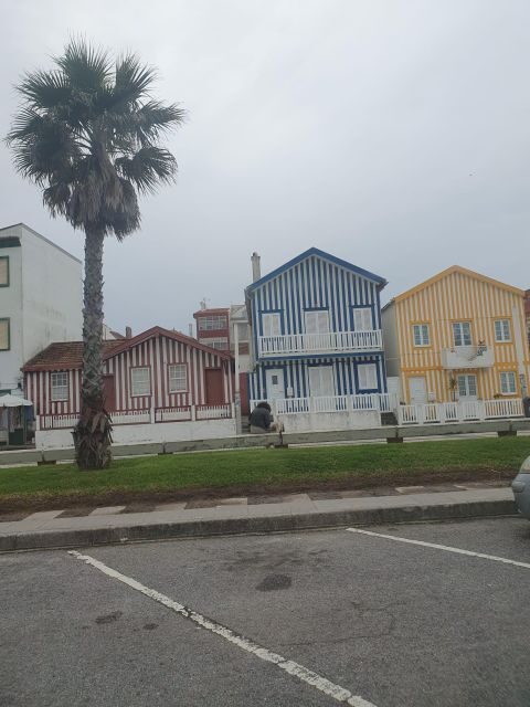 Aveiro and Coimbra Day Trip from Porto - Who Will Love This Tour?