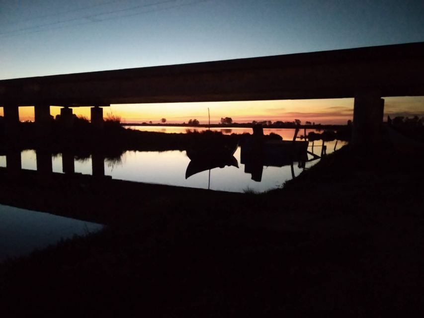 Aveiro: Boat Cruise and City Walking Tour with Sweet Tasting - What Makes This Tour Stand Out