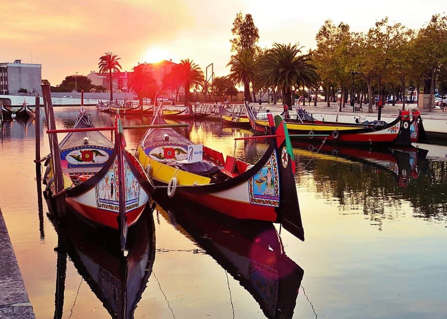 AVEIRO E COSTA NOVA: Private Full-Day Tour w/Boat from Porto - What Makes This Tour Stand Out