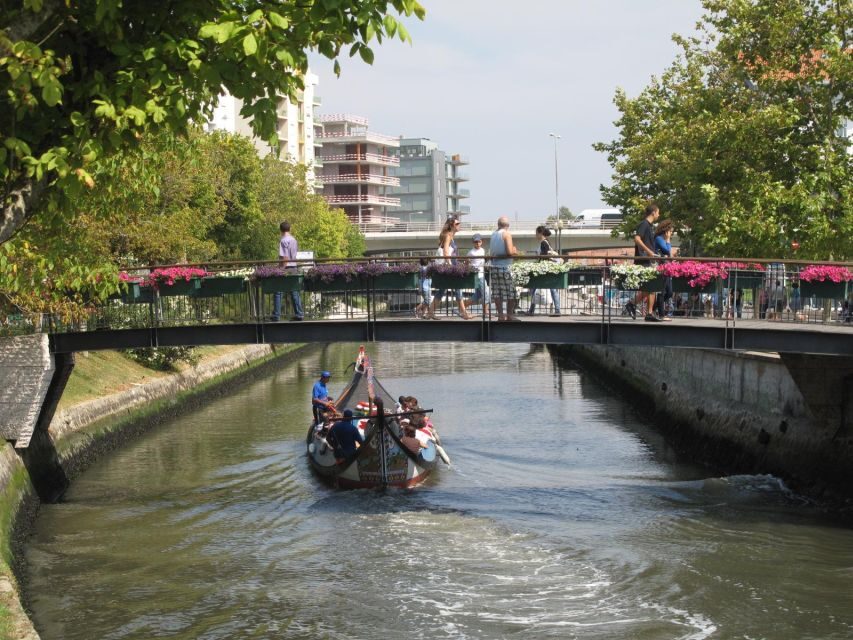 Aveiro em 1 Dia: Moliceiro, Costa Nova e Vista Alegre - Who Should Consider This Tour?