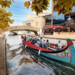Aveiro: Scenic Guided Boat Tour - The Value of the Experience