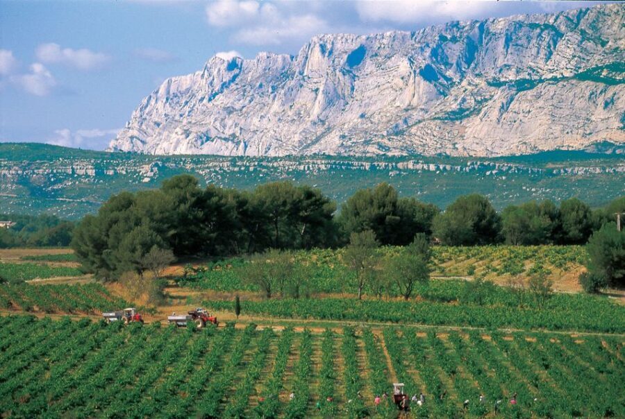 Avignon: Full-Day Wine Tour around Châteauneuf-du-Pape - The Experience and Atmosphere