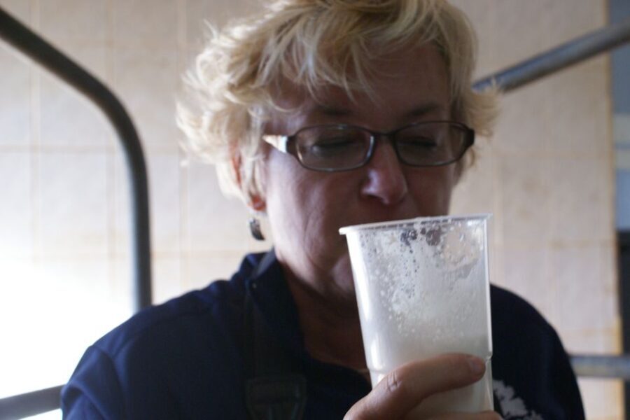 Azores: Day at the Farm with Outdoor Traditional Lunch - Who Should Consider This Experience?