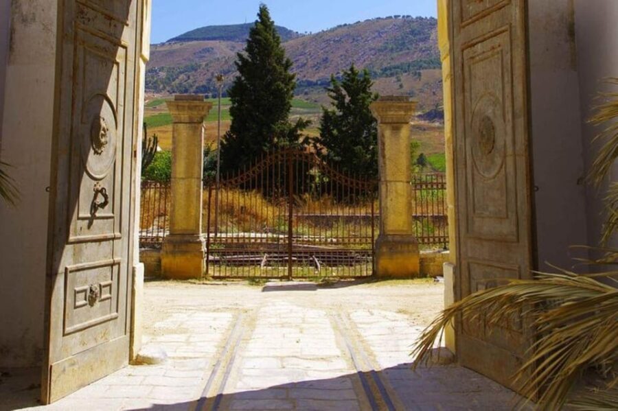 Baglio Florio Adamo: Oil Tasting - How the Tour Operates and Why It Matters