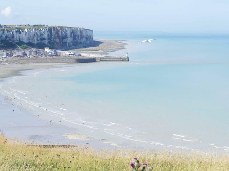 Baie de Somme: Day tour of the Picardy coastline - Key Points