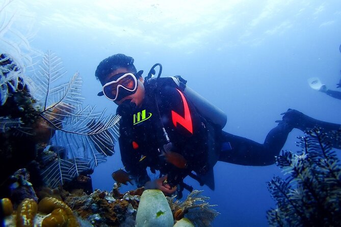 Bali Full Day Experience Scuba Diving Tour at Tulamben - Exploring the Bali Full Day Experience Scuba Diving Tour at Tulamben