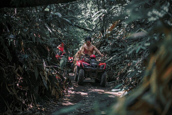 Bali: Gorilla Face ATV Bali Ubud Adventure with Lunch - Key Points