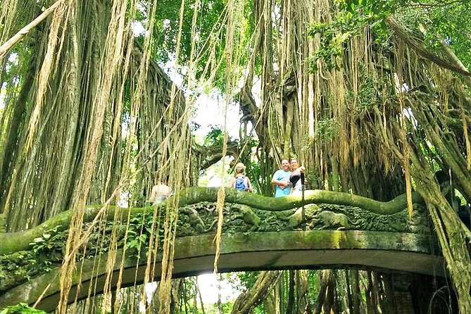 Bali Holy Bathing Ritual and Ubud Highlights tour - Final Thoughts
