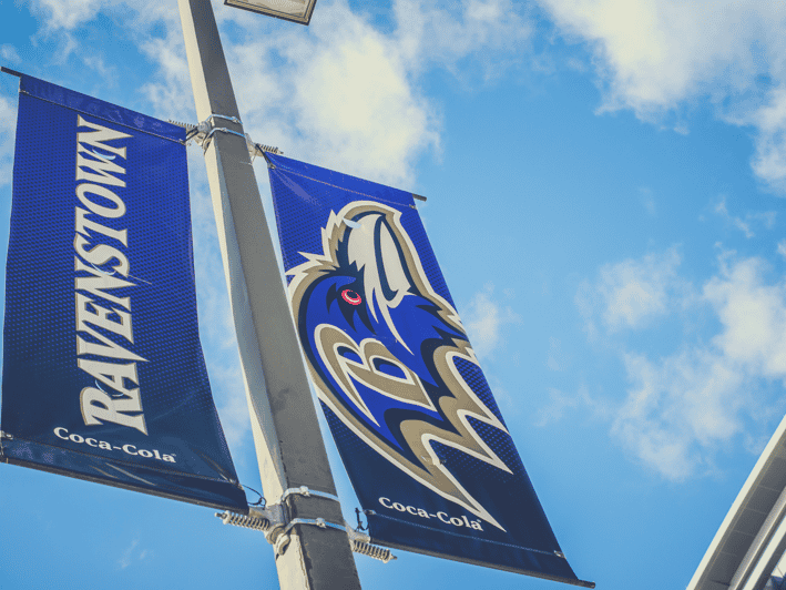 Baltimore: Ravens Football Game Ticket at M&T Bank Stadium - The Experience at a Glance: What to Expect