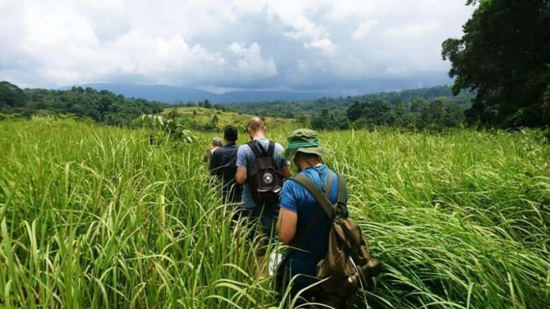 Bangkok: Khao Yai Nature Trails & Heaw Suwat Waterfall - Key Points