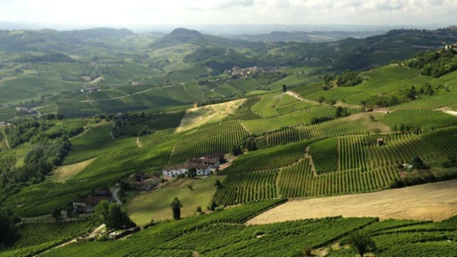 Barbaresco: E-Bike Tour of Piedmont Wineries with Tastings - What the Tour Offers — An Honest Look at Value