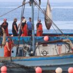 Barbate: Boat Tour to the Almadraba of Conil (Tuna Fishing) - Why This Tour Offers Real Value