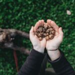 Barberino Tavarnelle: Truffle Hunt Tour with Lunch or Dinner - Authenticity and Cultural Significance