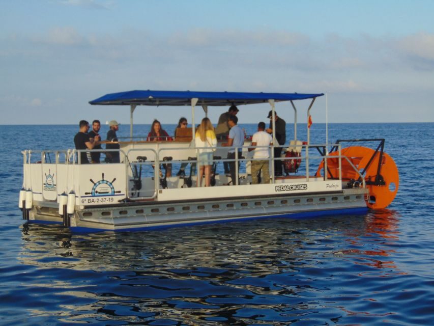 Barcelona: 1.5-Hour Private Scenic Pedal Boat Tour - What to Expect: The Itinerary and Experience
