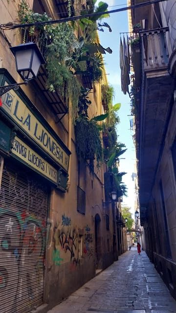 Barcelona 101 Walking Tour: All Highlights in One Day - Why This Tour Offers Great Value