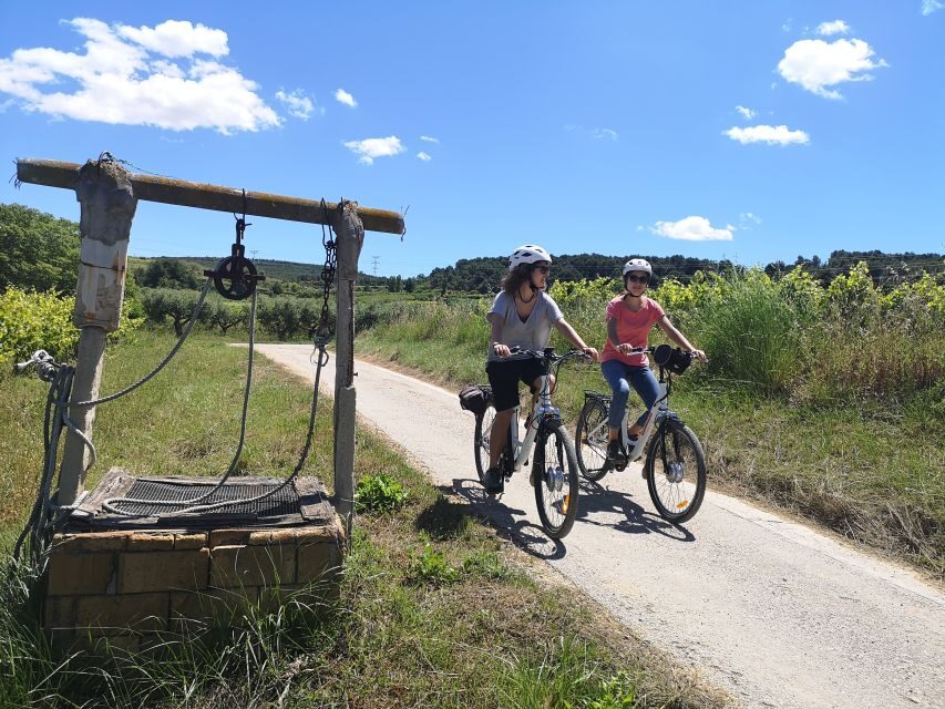 Barcelona: Bike & Wine Guided Tour - Penedès vineyards - An in-depth look at the experience