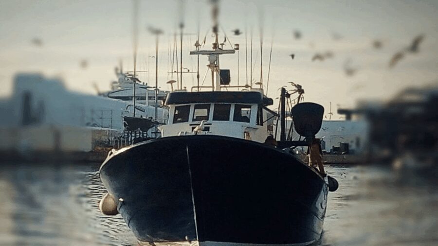 Barcelona Fishermen's Guild Guided Tour - Analyzing the Value