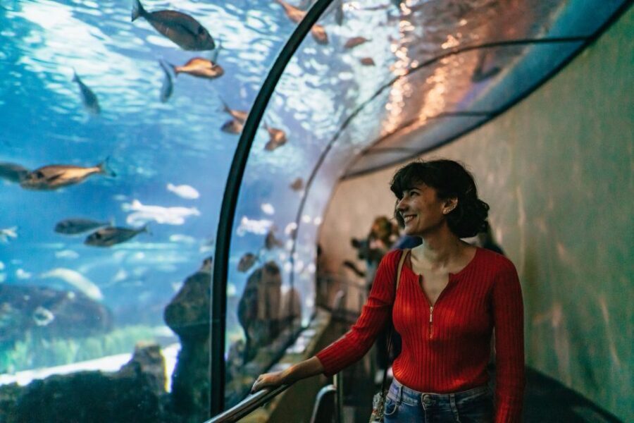 Barcelona: Hop-On Hop-Off Bus & Aquarium Tour - Final Thoughts: Is It Worth It?