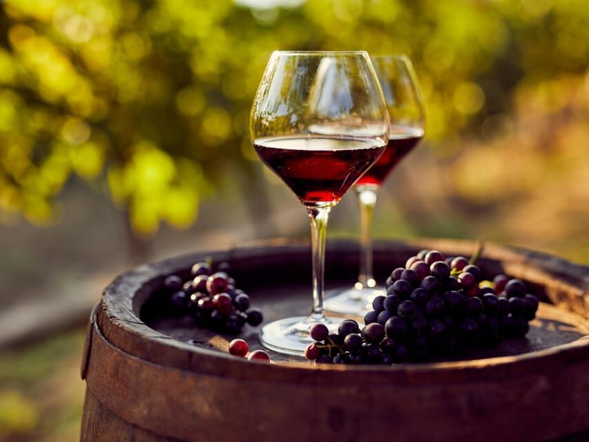 Barcelona: Luxury Tour, Buggy Route, Lunch & Penedes Wines - Analyzing the Value