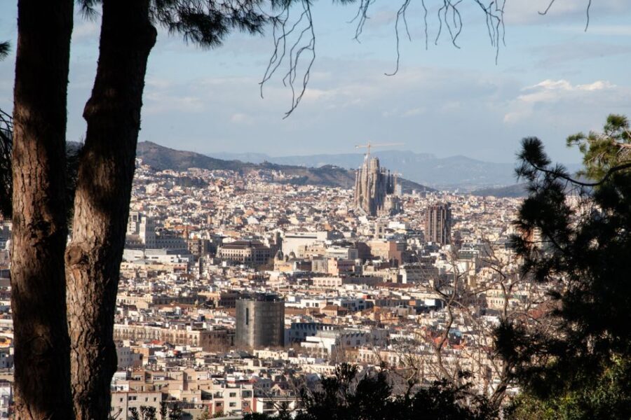 Barcelona: Montjuïc Walking Tour With Optional Flamenco Show - The Practical Side: What Travelers Need to Know