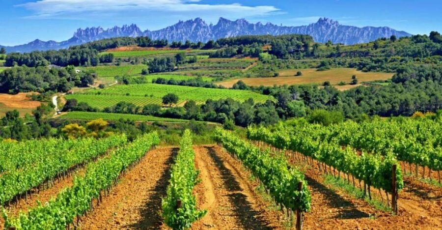 Barcelona: Montserrtat Hike and Winery Tour with Tasting - Exploring Montserrat: Nature, Culture, and Adventure
