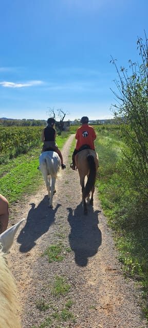 Barcelona: Penedès Vineyard Horseback Ride with Wine Tasting - The Experience: What to Expect