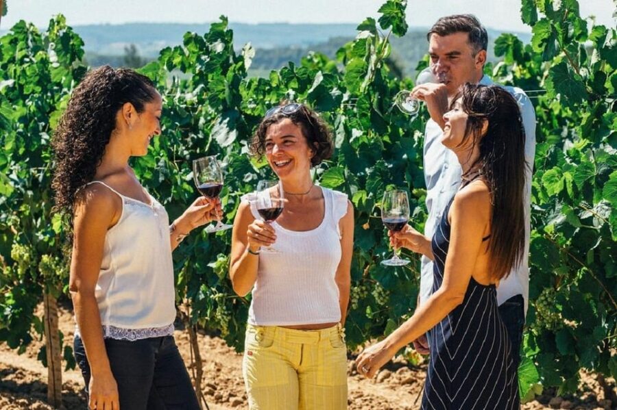 Barcelona: Sailing and Alella Winery Tour with Wine Tasting - What the Experience Means for You