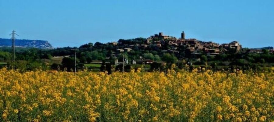 Barcelona: Tour Besalu, Peratallada and pals - What Travelers Say