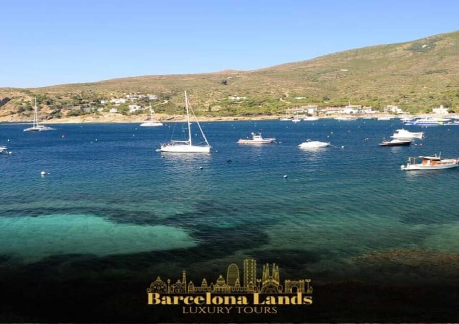 Barcelona: Tour Luxury Cadaqués & Lunch - Analyzing Value and Practicalities