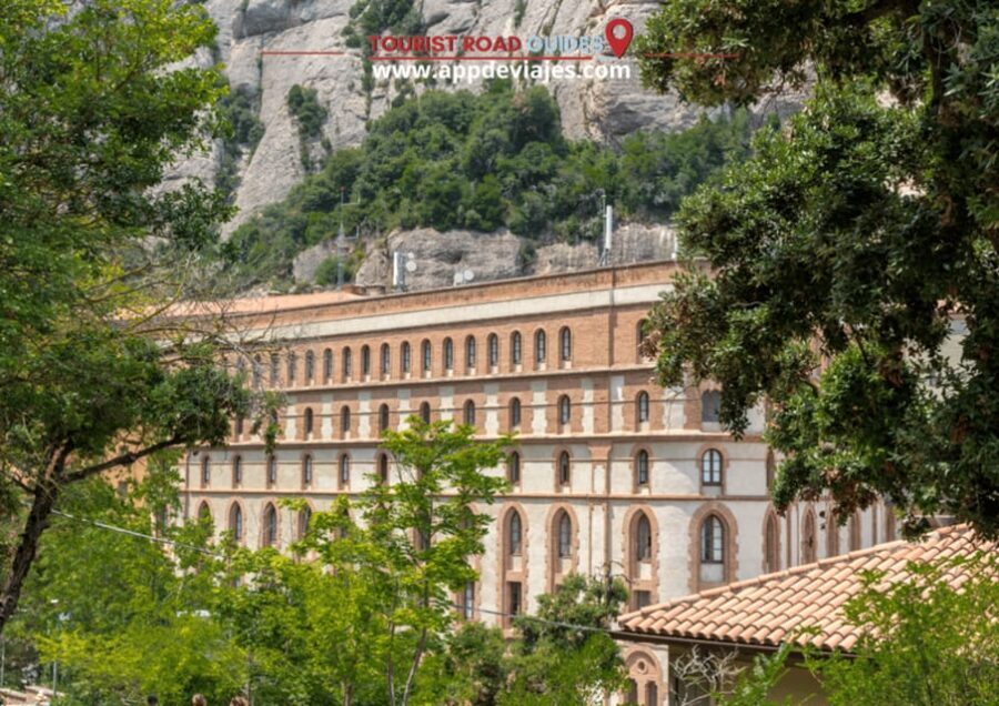 Barcelona: Tour Private Montserrat, Wines & Sitges - The Wine Experience at Familia Torres