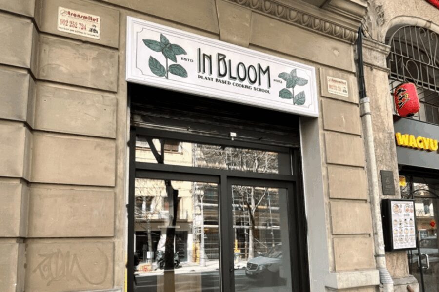 Barcelona: Vegan Paella and traditional rice dishes