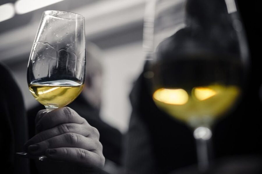 Barcelona Wine Tasting: Catalan and Spanish Wines - The Sum Up