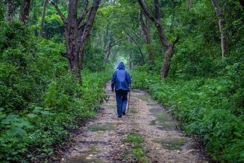 Bardiya National Park: Treehouse Stay with Wildlife Safari - Key Points