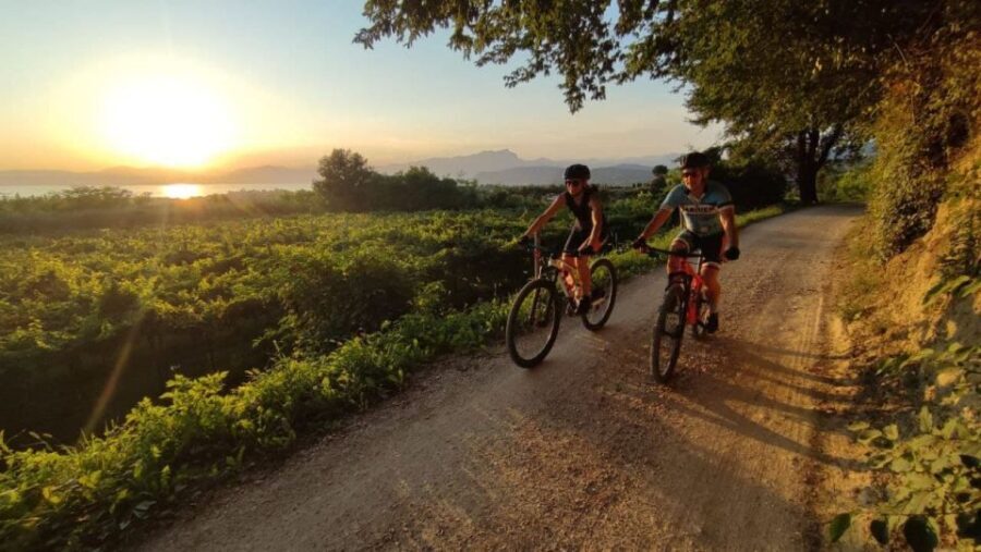 Bardolino: e-bike tour and wine tasting on the hills - Who Will Love This Tour?