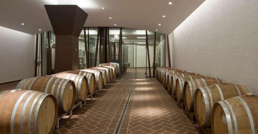 Bardolino: tasting of 6 red Valpolicella and Garda wines - Who Will Love This Experience?