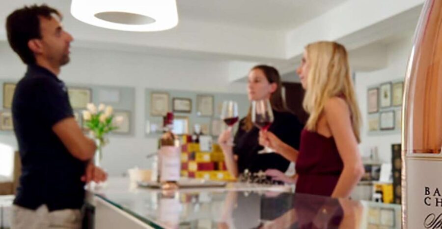 Bardolino: tasting of 6 White and Rosè wines with Lake view - The Experience’s Strengths and Limitations