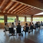 Bardolino: Vineyard Tour with Wine, Olive Oil & Food Tasting - Why This Tour Works for Travelers