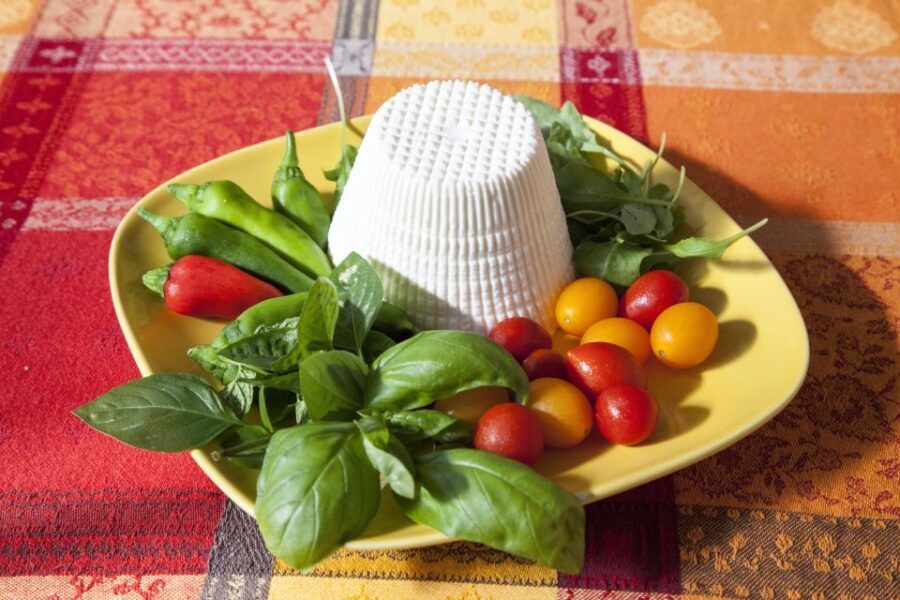 Bari: Private Cooking Class at a Local's Home - Authenticity and Reviews: What Past Participants Say