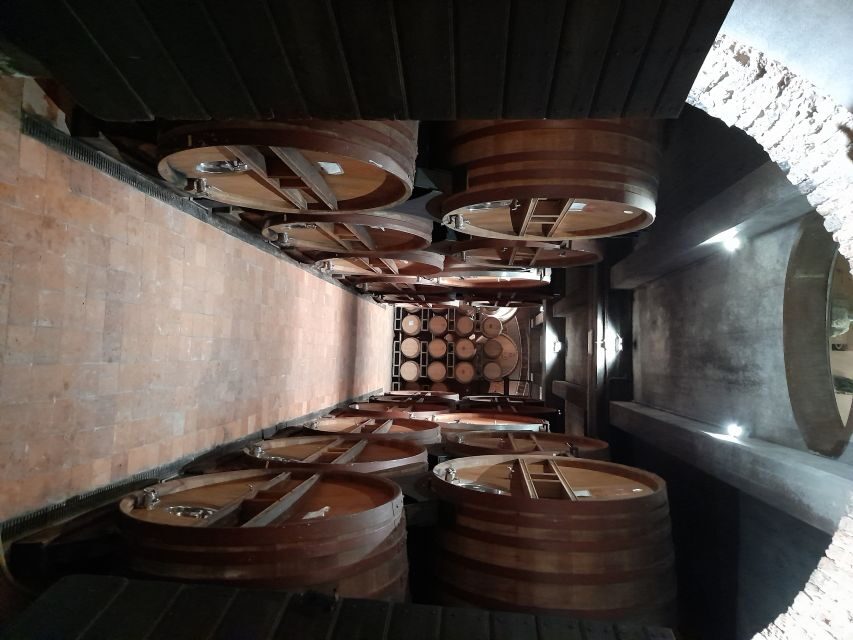 Barolo: Truffle Hunting and Wine Tasting - Who Will Love This Tour?