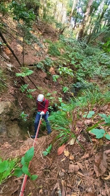 Barranquismo Tenerife: Canyoning Adventure - What Travelers Say