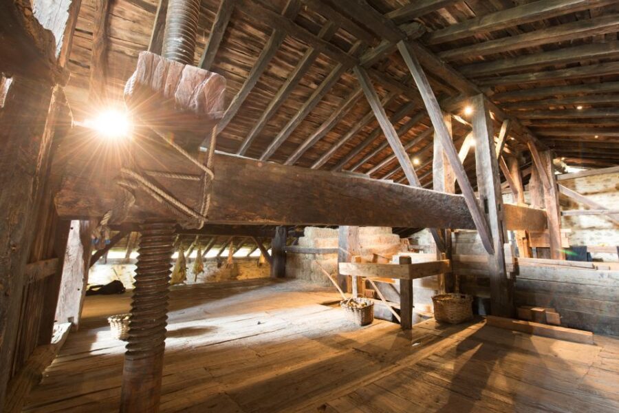 Basque Press Farm and Traditional Cider House with transport - The Cider House Experience: From Orchard to Barrel