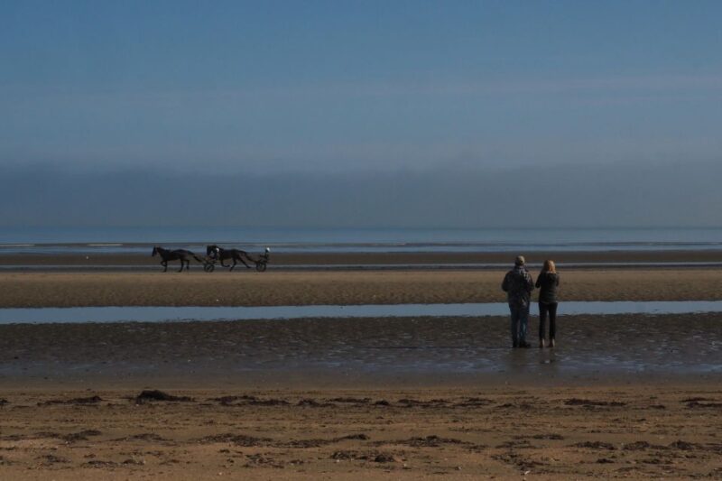 Bayeux : Full-day excursion D-Day landing beaches - Key Points