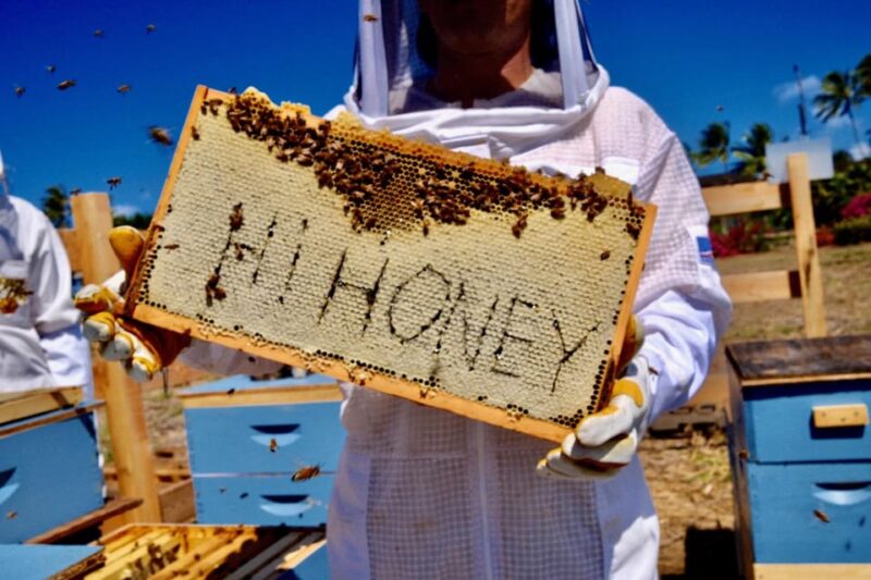 Bee Farm Tour & Honey Tasting - What Is the Bee Farm Tour & Honey Tasting?