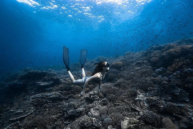 Beginner Freediving Course (with Bonus Session) - Introduction
