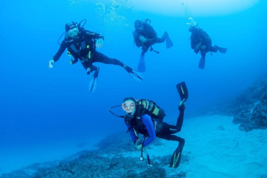 Beginner Scuba Dive with Scubapoint Tenerife in Turtle Area - The Itinerary and What to Expect