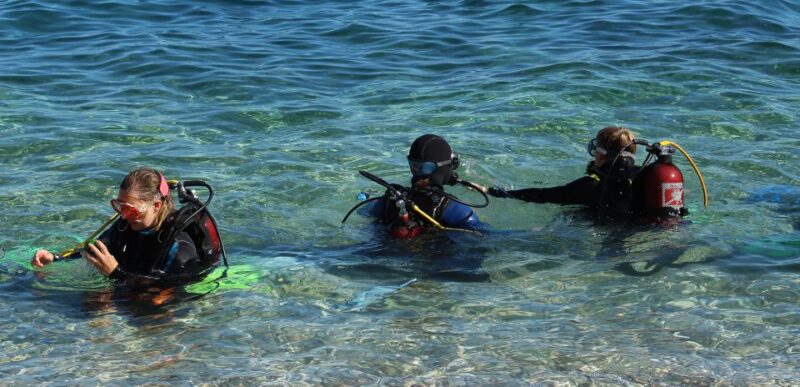 Beli - Discovery dive - Key Points