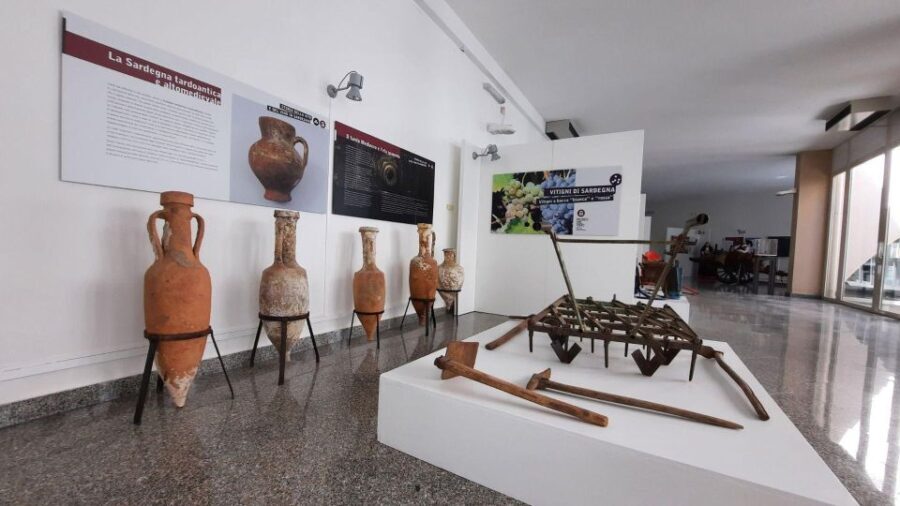 Berchidda: Visit to the Wine Museum with Wine Tasting - A Closer Look at the Experience
