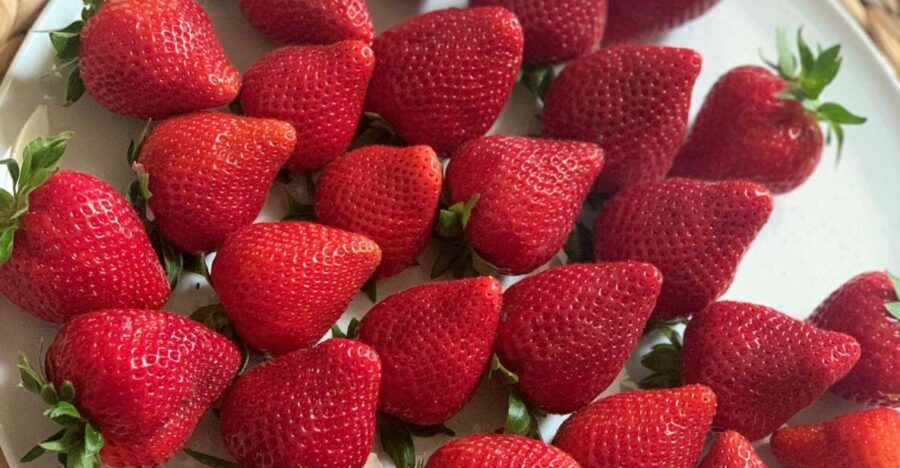 berry tasting (strawberries, raspberries and blueberries) - Analyzing the Value